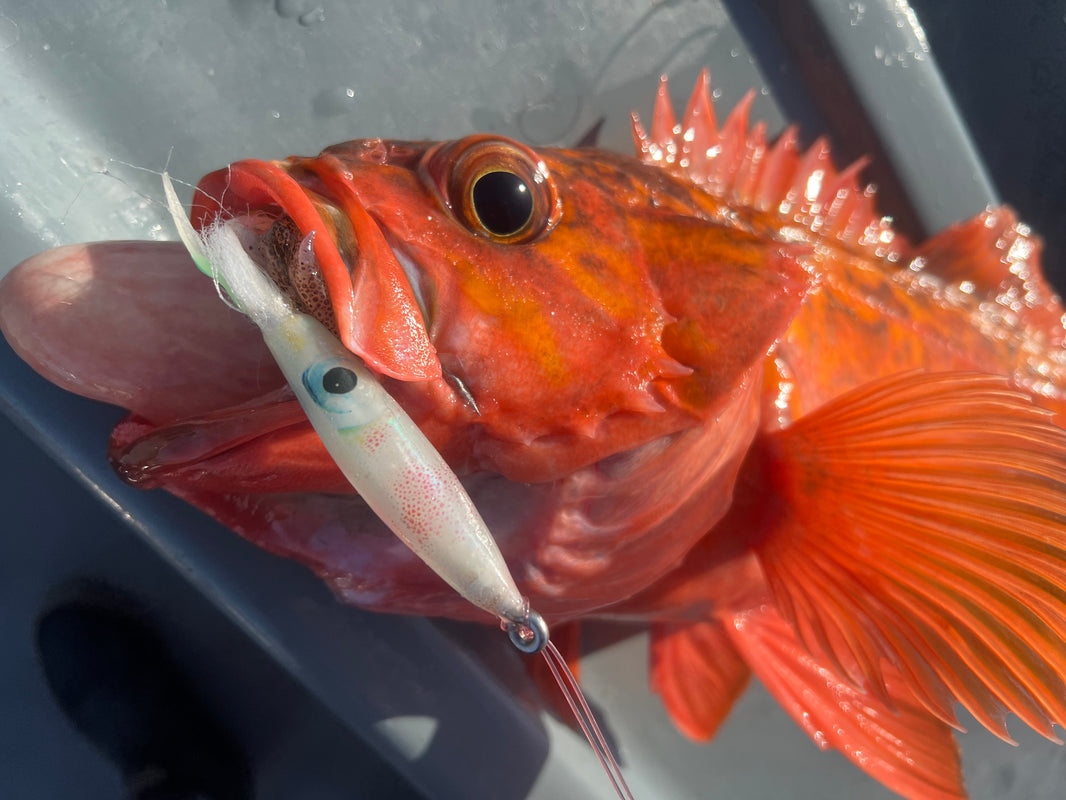rockfish flies and rigs – Lingcodjigs.com